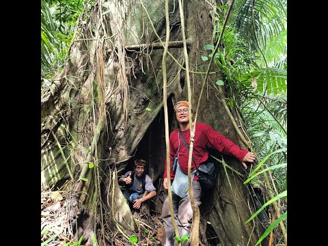 Desa Wisata Kampung Adat Kuta
