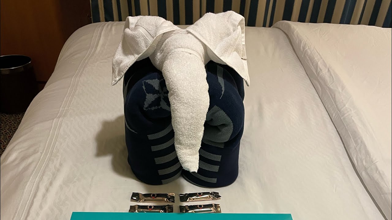 Cabin 8628 - Deluxe Family Oceanview Stateroom with Verandah - Disney ...