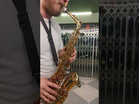 NO TARIFFS - Yanagisawa A-901 Alto Saxophone | Reverb