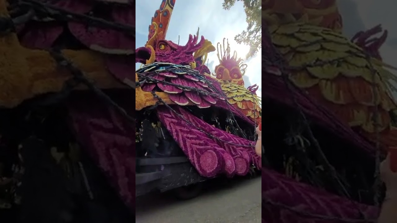 Bloemencorso Zundert paradijsvogels