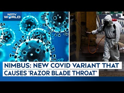 Nimbus Covid Variant | 'Razor Blade Throat' Symptoms, Here's What All You Need To Know About Nimbus