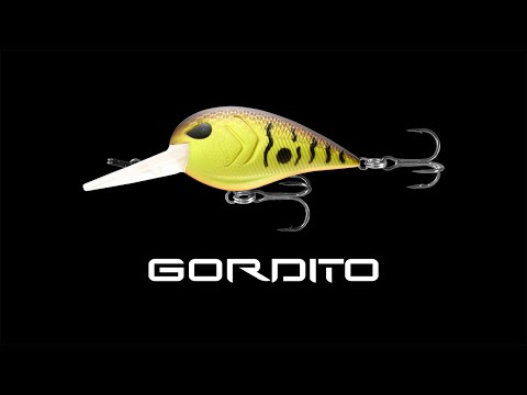 Gordito // 2020 Icast