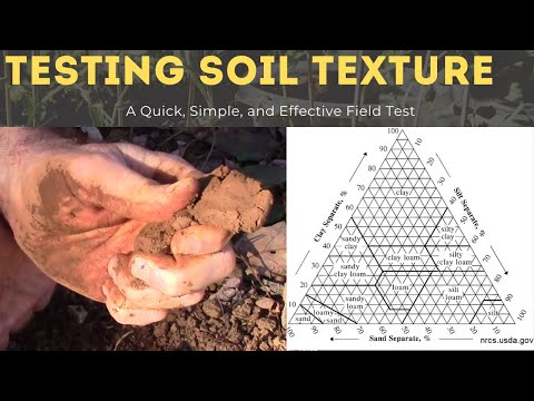 How to Determine Soil Type by Hand - The Ribbon Test