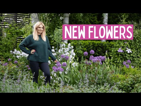 May Garden Tour | Azaleas, Peonies, Alliums & Clematis Planting Tips