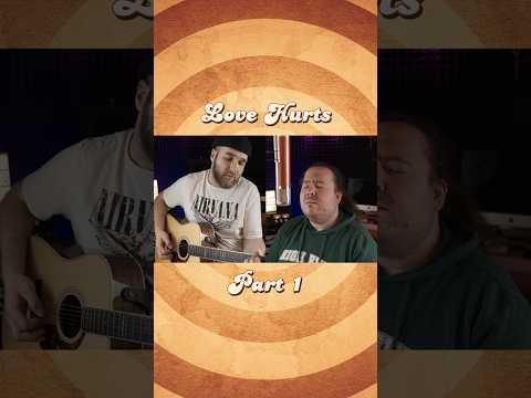 Love Hurts - The Everly Brothers | Cover by Cover Music Brothers | Part 1