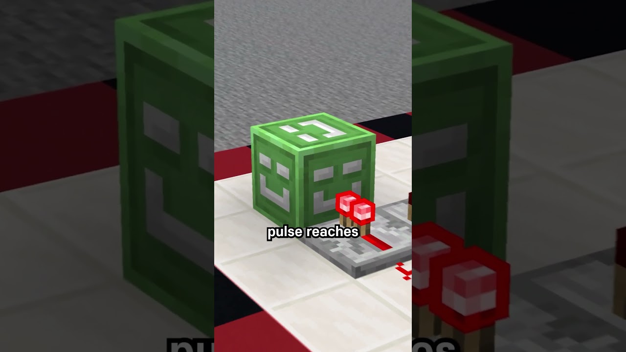 Test Blocks (credit: @conure512)