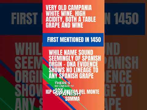How to Pronounce Catalanesca - Very Old Campanian Grape #howtopronounce #winegrape #shorts