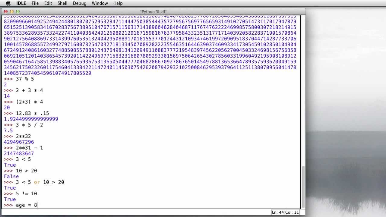 Python: Evaluating Numeric Expressions