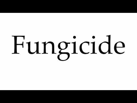 How to Pronounce Fungicide