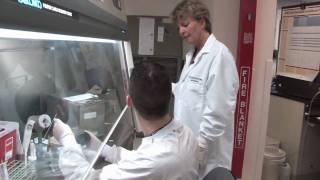 Director Of Laboratory Services Overview | What is a director of ...