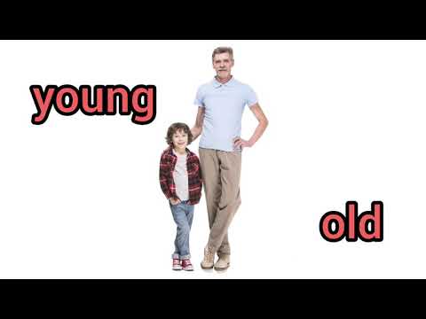 How to Pronounce Young in American English