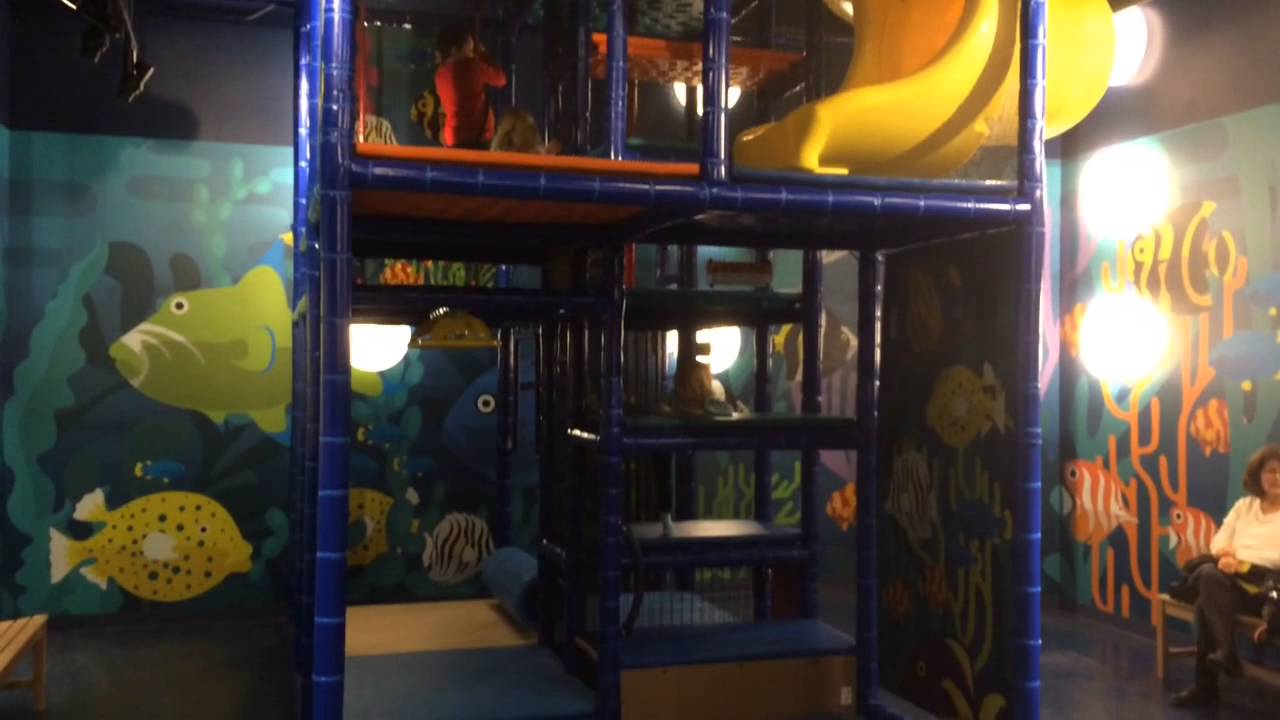 First look: A virtual tour of SEA LIFE Michigan aquarium