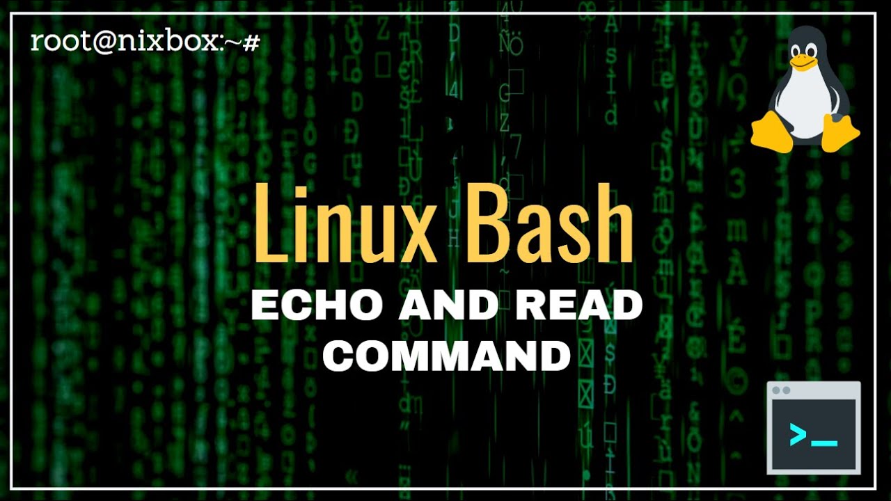 How to Use Echo and Read Command in Bash