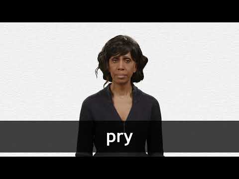 PRY definition and meaning | Collins English Dictionary