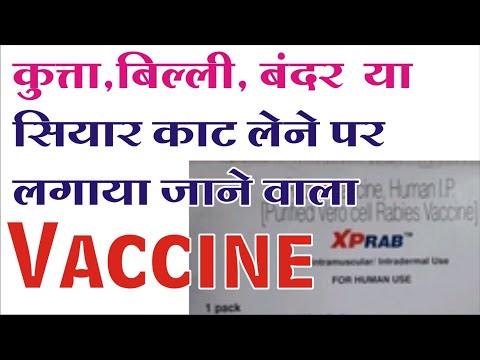 Rabies Vaccine - ARV Vaccine Latest Price, Manufacturers & Suppliers