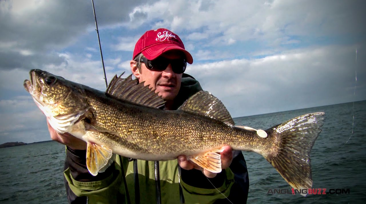 Spawn/Postspawn Walleye Locations