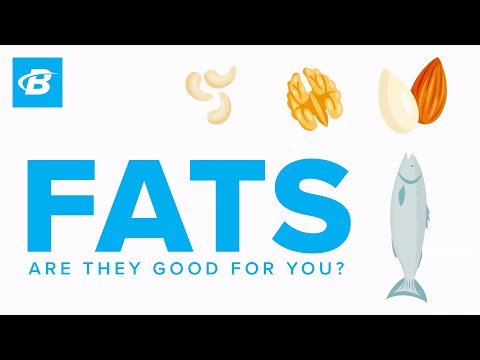 Are Fats Good For You? | Foundations of Fitness Nutrition
