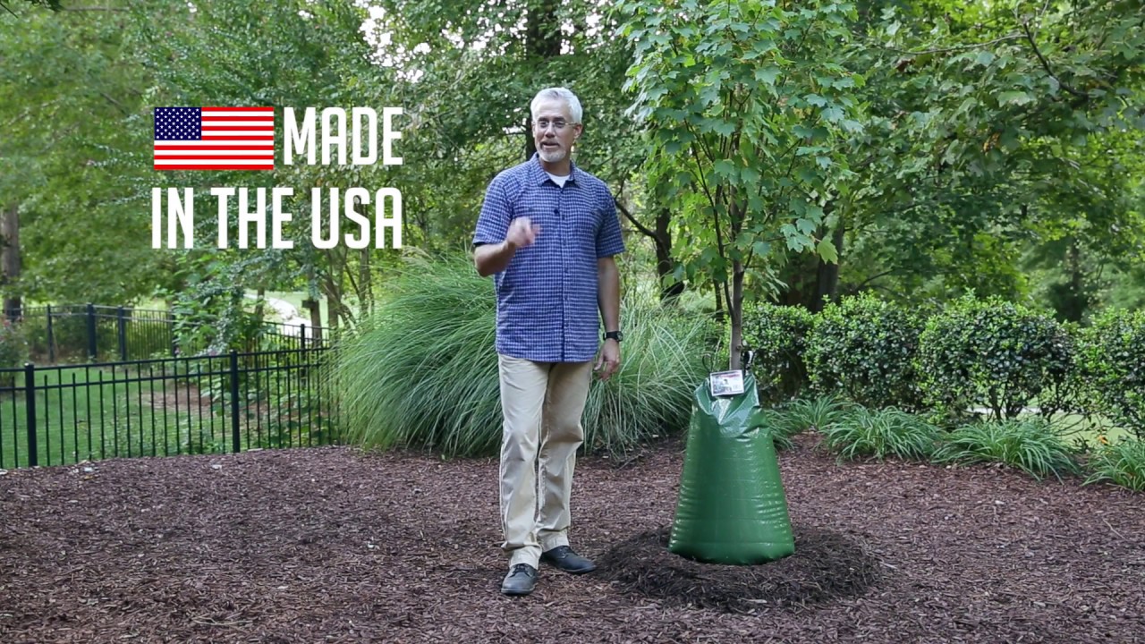 How To Install and Fill a Treegator Original Slow Release Watering Bag