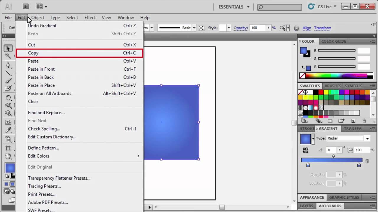 2.4 Creating an Icon: Adobe Illustrator CS5