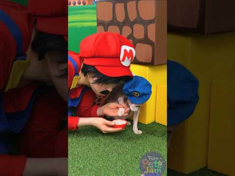 This Dog Has a Paw Print Lock?! ππΆ DIY Cute Puppy Paw with Hot Glue! π²β¨