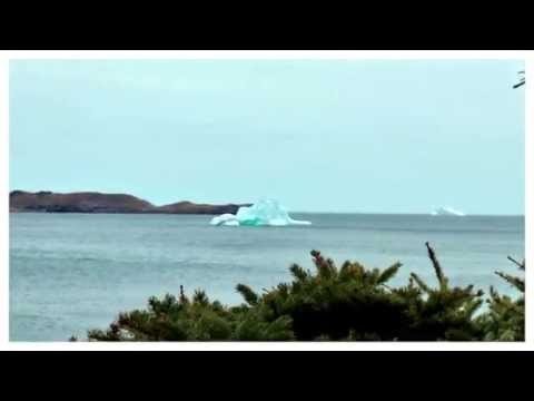 Iceberg Alley - Witless Bay, Newfoundland & Labrador