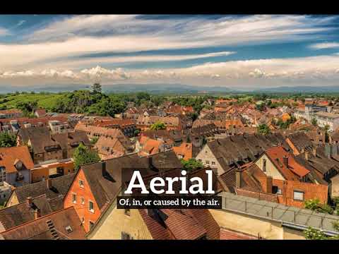 What is Aerial? | How Does Aerial Look? | How to Say Aerial in English?