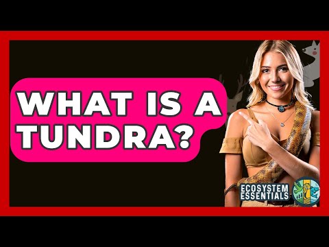 What Is A Tundra? - Ecosystem Essentials