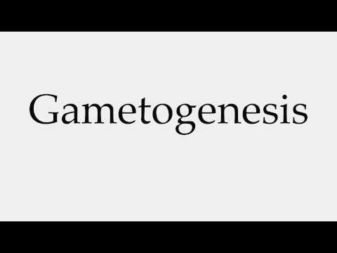 How to Pronounce Gametogenesis