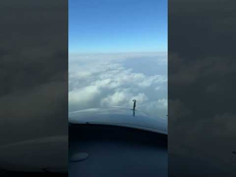 Landing in New Delhi || Indira Gandhi International Airport || #pilot #aviation #india #embraer