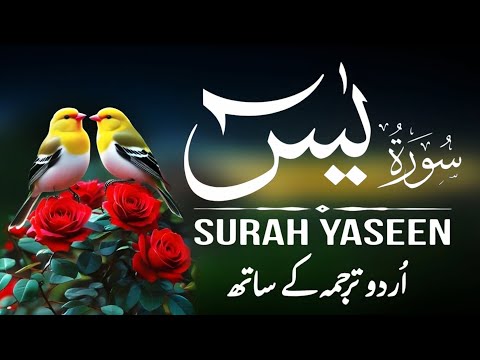 Surah Yaseen With Urdu Translation | Episode 200 | Surah Yaseen Urdu Tarjuma ke