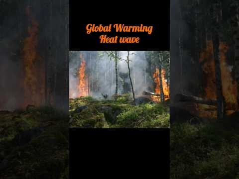 Global Warming reality #shorts #shortsfeed