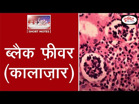 Black Fever | Kala Azar - To The Point | Drishti IAS