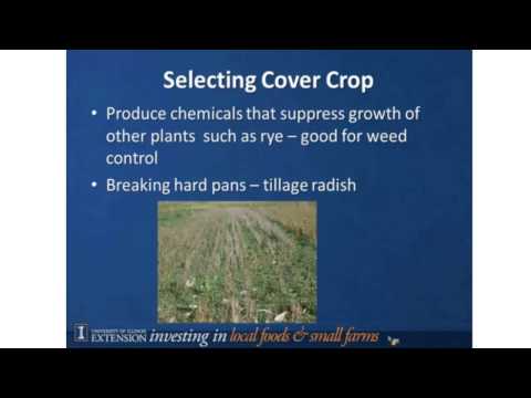 Companion Planting