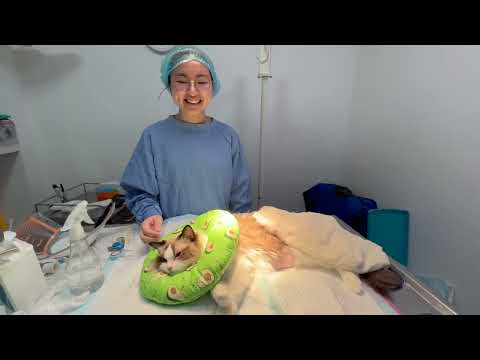 09 Coco Yeung - Hong Kong