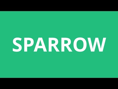How To Pronounce Sparrow - Pronunciation Academy