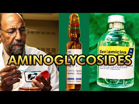 Aminoglycosides Pharmacology: Mechanism of Action, Spectrum, Therapeutic Uses and Adverse Effects