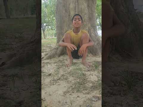 #funny reel ####