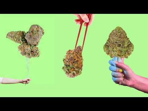 Nova Farms Dispensary WILD Summer Vid βοΈ