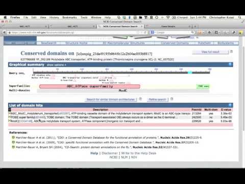 Sequence Based Similarity Module CDD ScreenCast tutorial