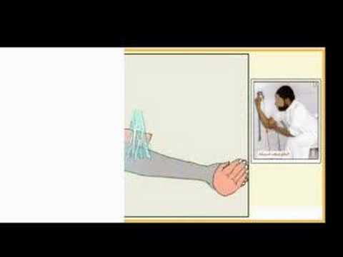 Step by Step Guide to Doing Wudhu (Ablution) | Resources for New Muslims