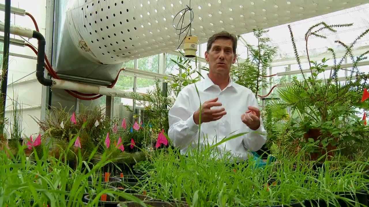 Modeling Our Future Climate