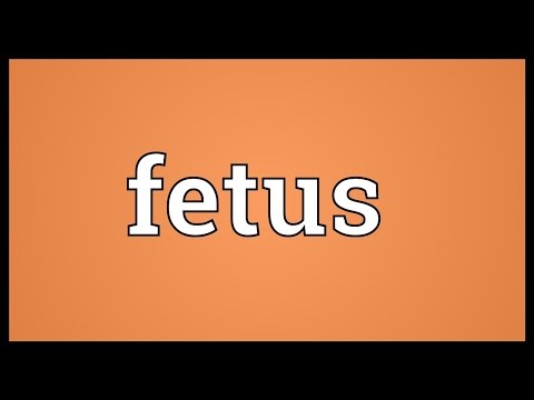 Fetus Meaning