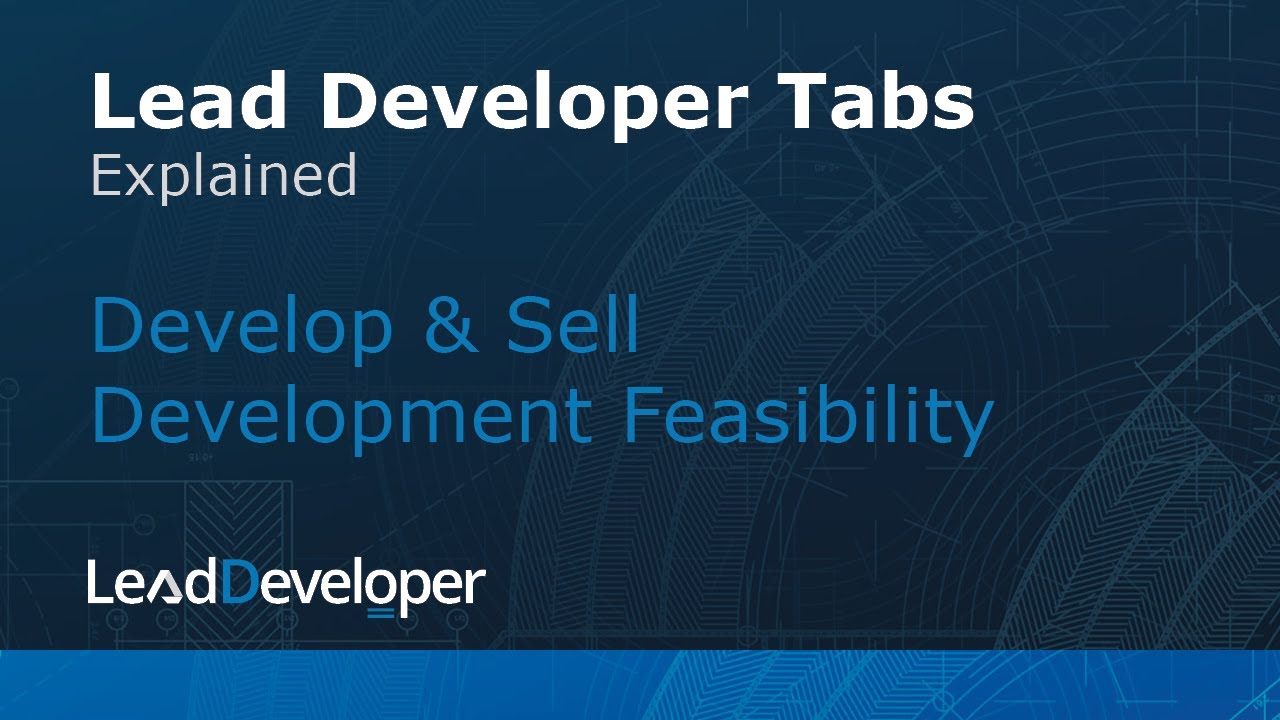 Lead Developer Tabs - Explained