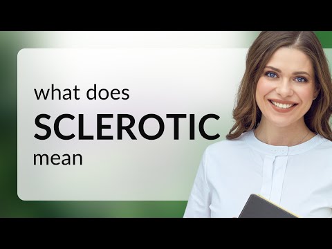 Sclerotic — SCLEROTIC definition