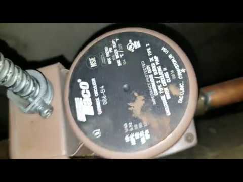 Boiler TACO water circulating pump continuous mechanical noise