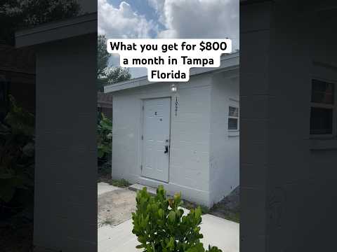 What you get for $800 a month In Tampa Florida #affordablehousing #floridarentals #florida