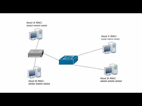 9-Building The MAC Table, Part 1