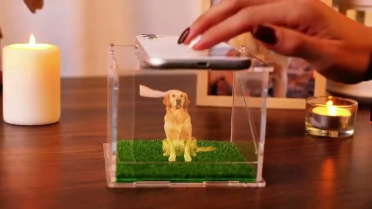 3D Interactive Pet Hologram Keepsake - Voice & Touch Control Memorial Box for Pet Loss Remembrance