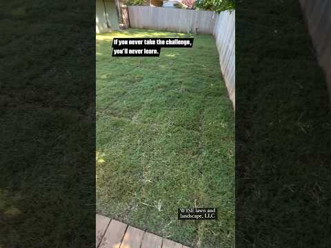 W.I.S.E. #lawncare #lawnmowing #landscape #lawnmowingbusiness #sodinstallation #tilling