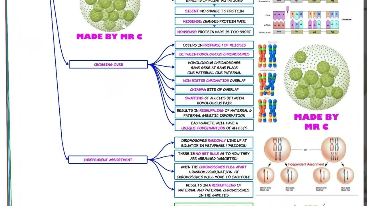 Year 10 mind map 2026